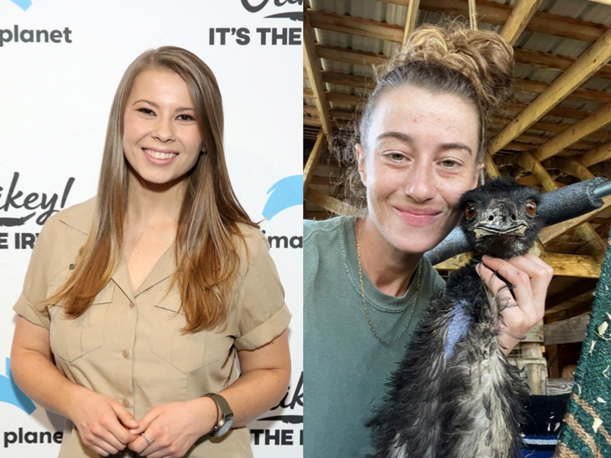 Bindi Irwin responds to request for help from owner of TikTok famous ...