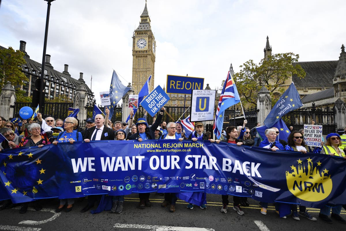 Thousands of protesters rally in London to call for the UK to rejoin ...