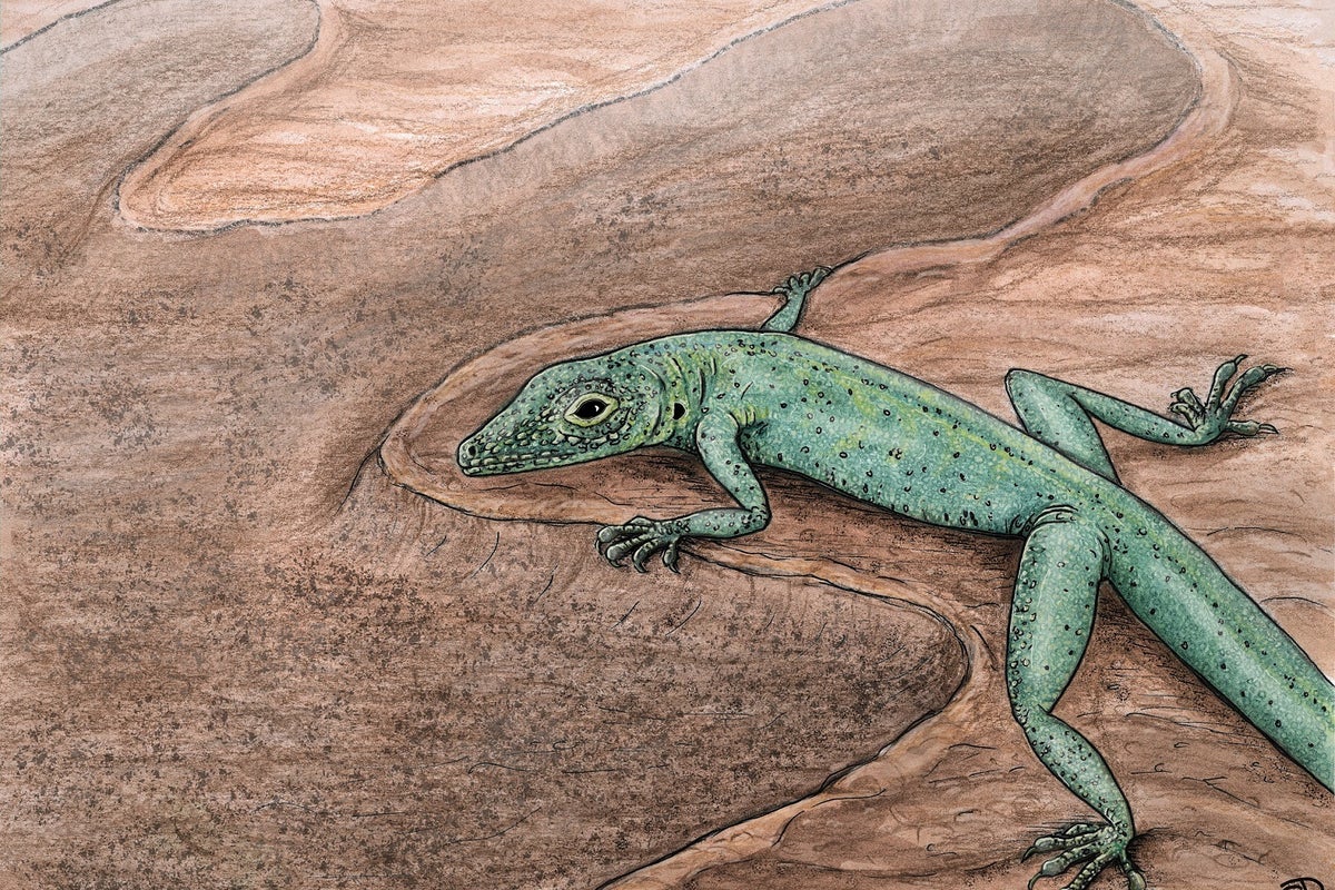 Tiny 166-million-year-old skeleton found in Scotland sheds light on ...