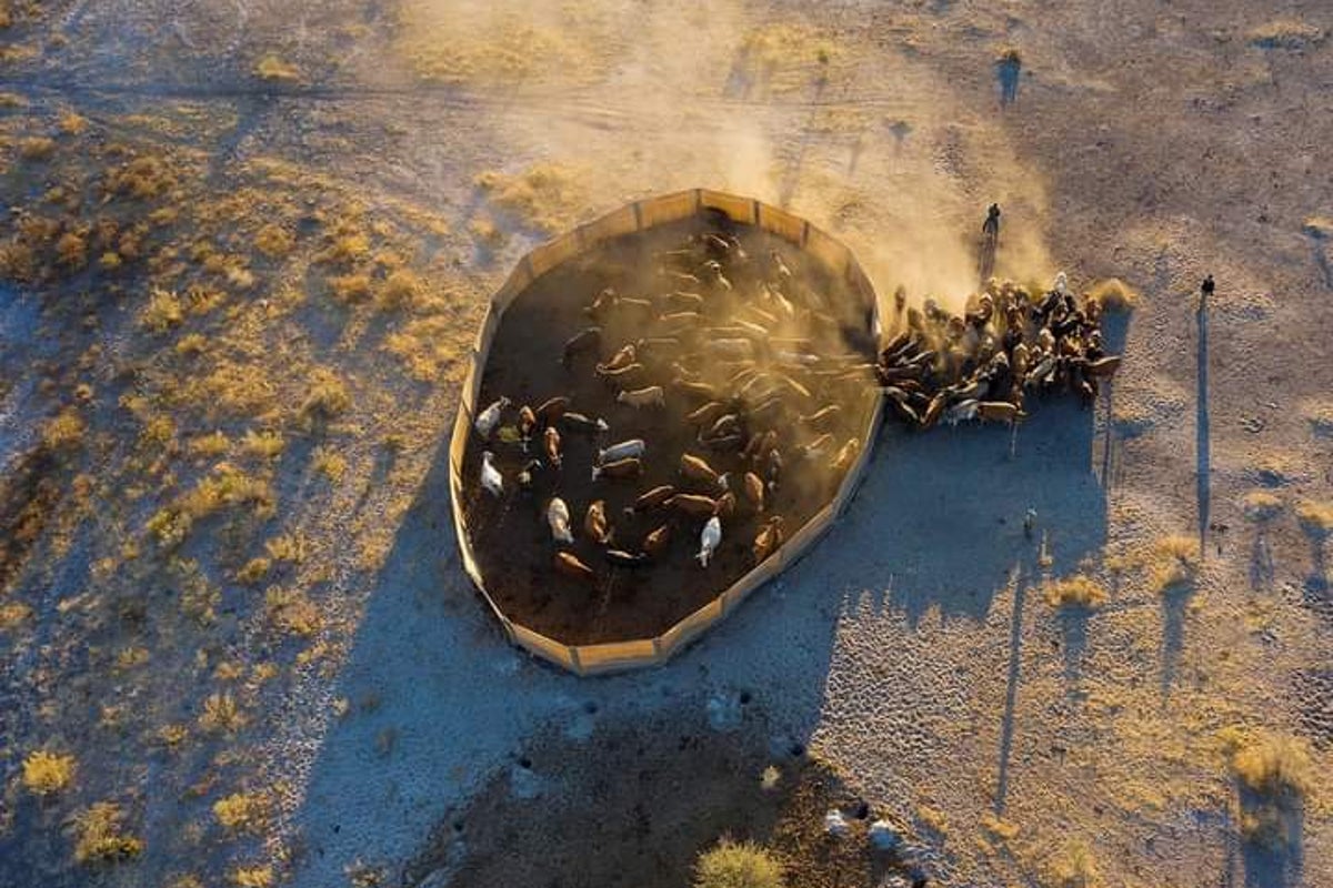 Former hunters now help stop human wildlife conflict in Botswana | The ...