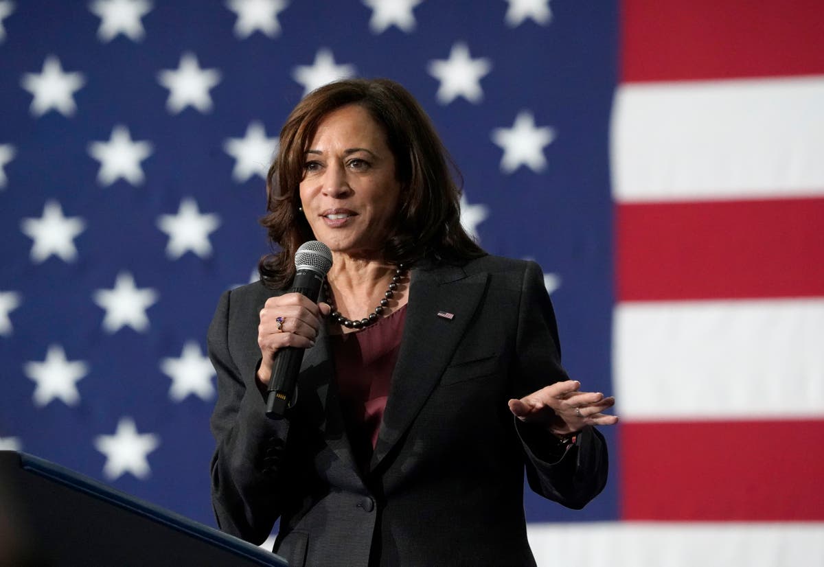 VP Harris fights for Democrats' future — and her own | The Independent