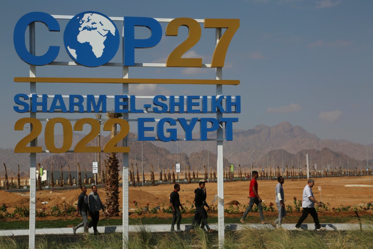 COP27: Host resort town gives Egypt tight grip over protests | The ...