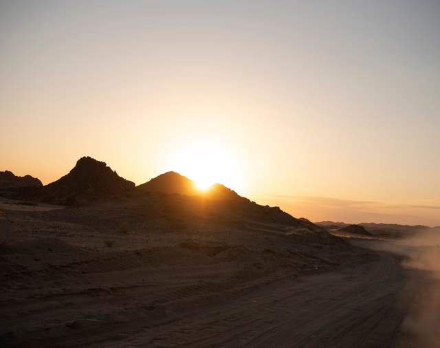 ‘We will be rewilding the lands and sea on a scale never before ...