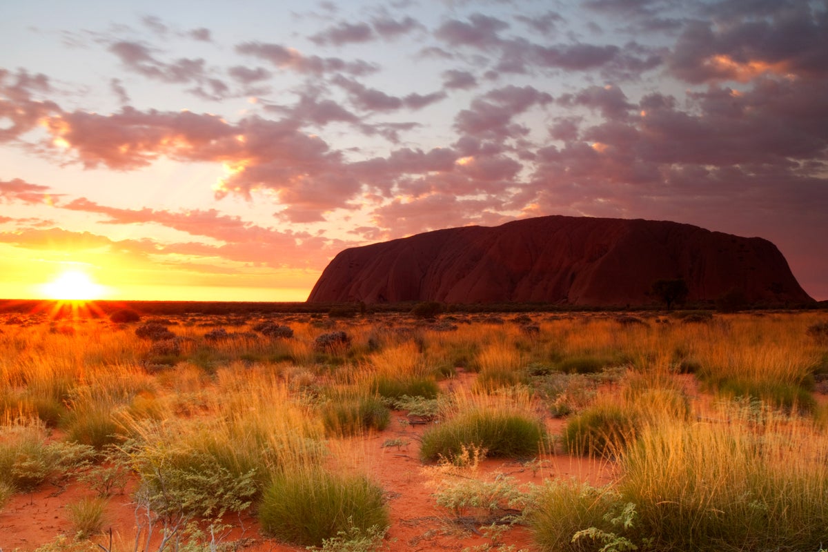 Book of a lifetime: Voss by Patrick White | The Independent