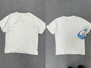 8 best crease release and fabric freshener sprays for clothes 2024 ...