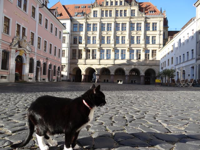 How to plan the perfect train trip around Germany | The Independent