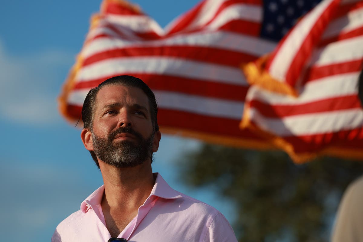 Donald Trump Jr rants about ‘brainless’ election winners after two days ...