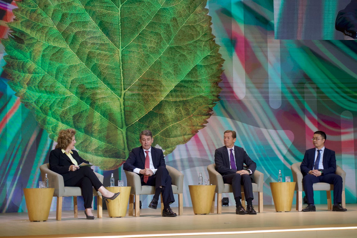 Sustainable financing ‘critical’ to reaching net zero, experts warn ...