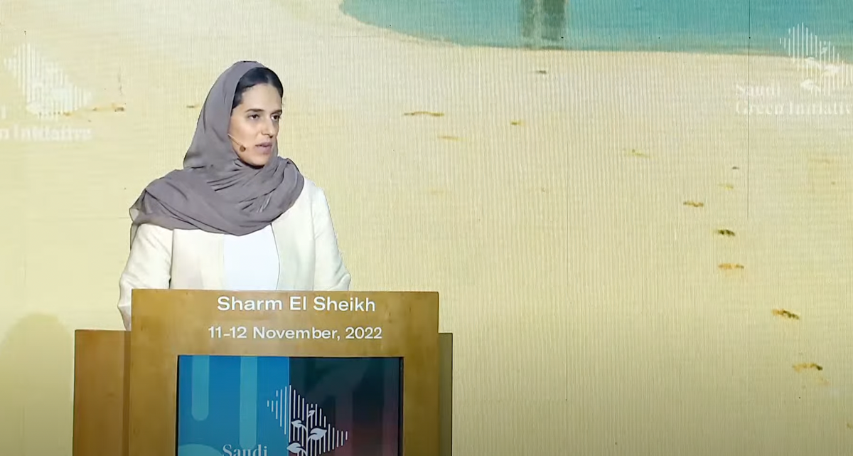 ‘Tourism is too big to fail,’ Saudi minister says | The Independent