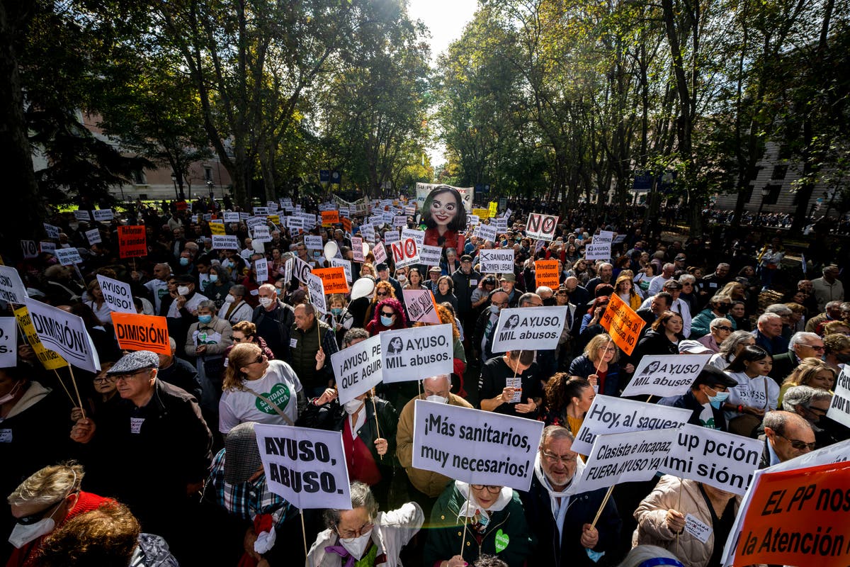Thousands protest in support of public health care in Madrid | The ...