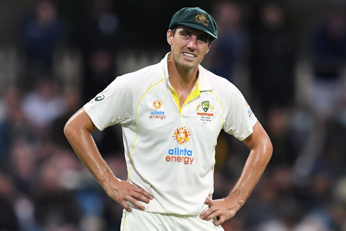 Australia captain Pat Cummins pulls out of IPL ahead of Ashes and World ...