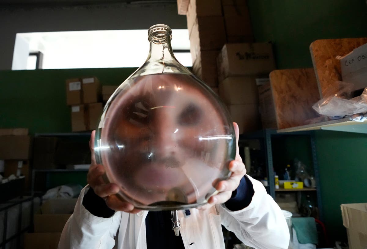 AP PHOTOS: UN distinction sought for prized Serb plum brandy | The ...