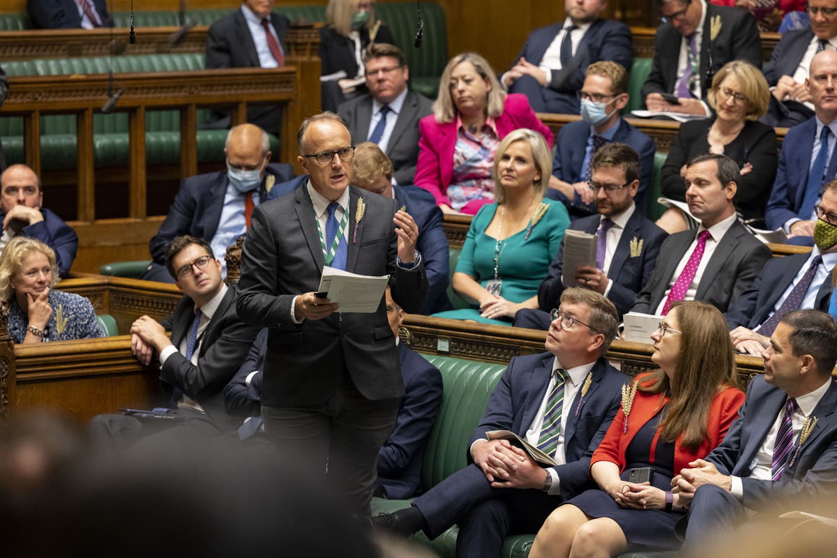 Tory MPs call for renters to be allowed to keep pets | The Independent