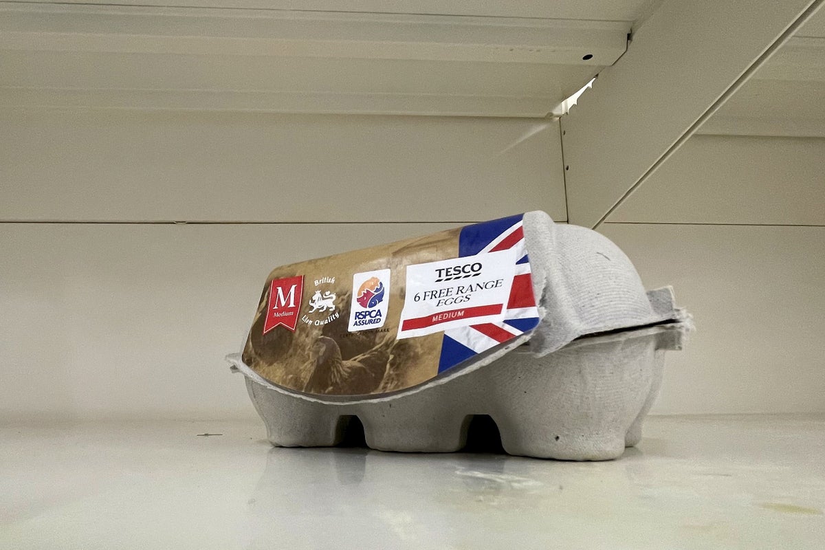 Waitrose to invest £2.6m in egg suppliers as more customers face ...