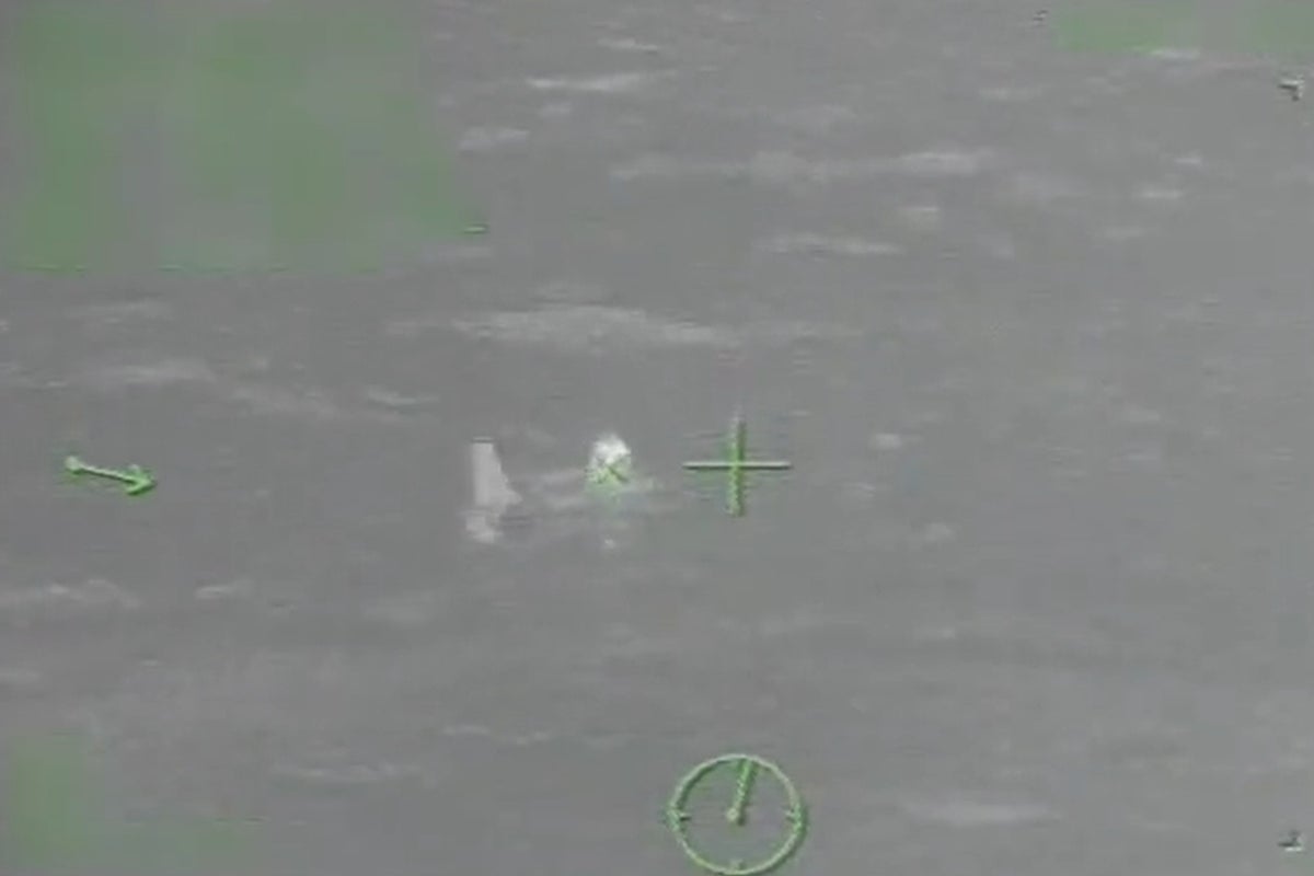 Cruise ship passenger survives 15 hours at sea after falling overboard ...