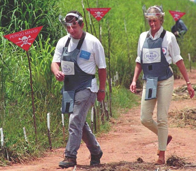The fight to end the devastating consequences of landmines | The ...