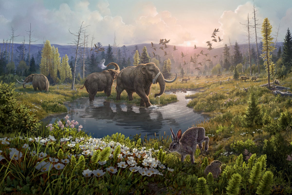 ‘Game-changing’ discovery of world’s oldest DNA could help us ...