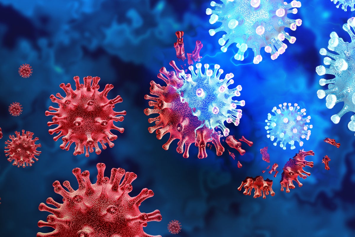Protective gene may help some dodge Covid-19 symptoms, study suggests ...