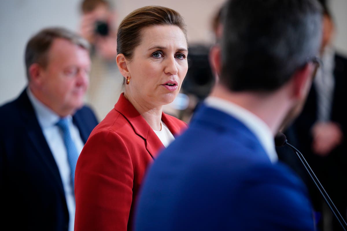PM danesa dice que se necesita coalición centrista | Independent Español