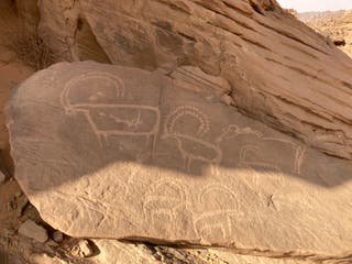 A guide to Saudi Arabia’s nature reserves: King Salman Bin Abdulaziz ...