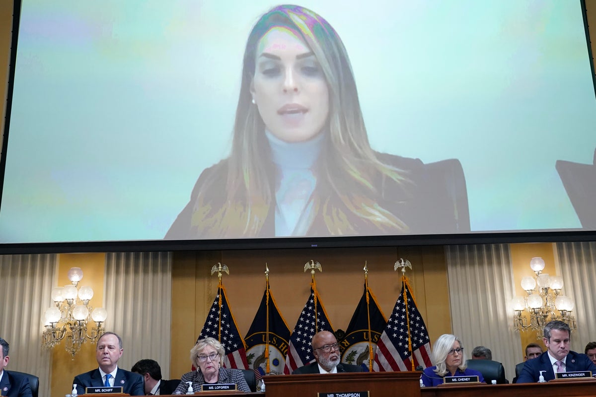 ‘We all look like domestic terrorists’: Texts reveal Trump favourite ...