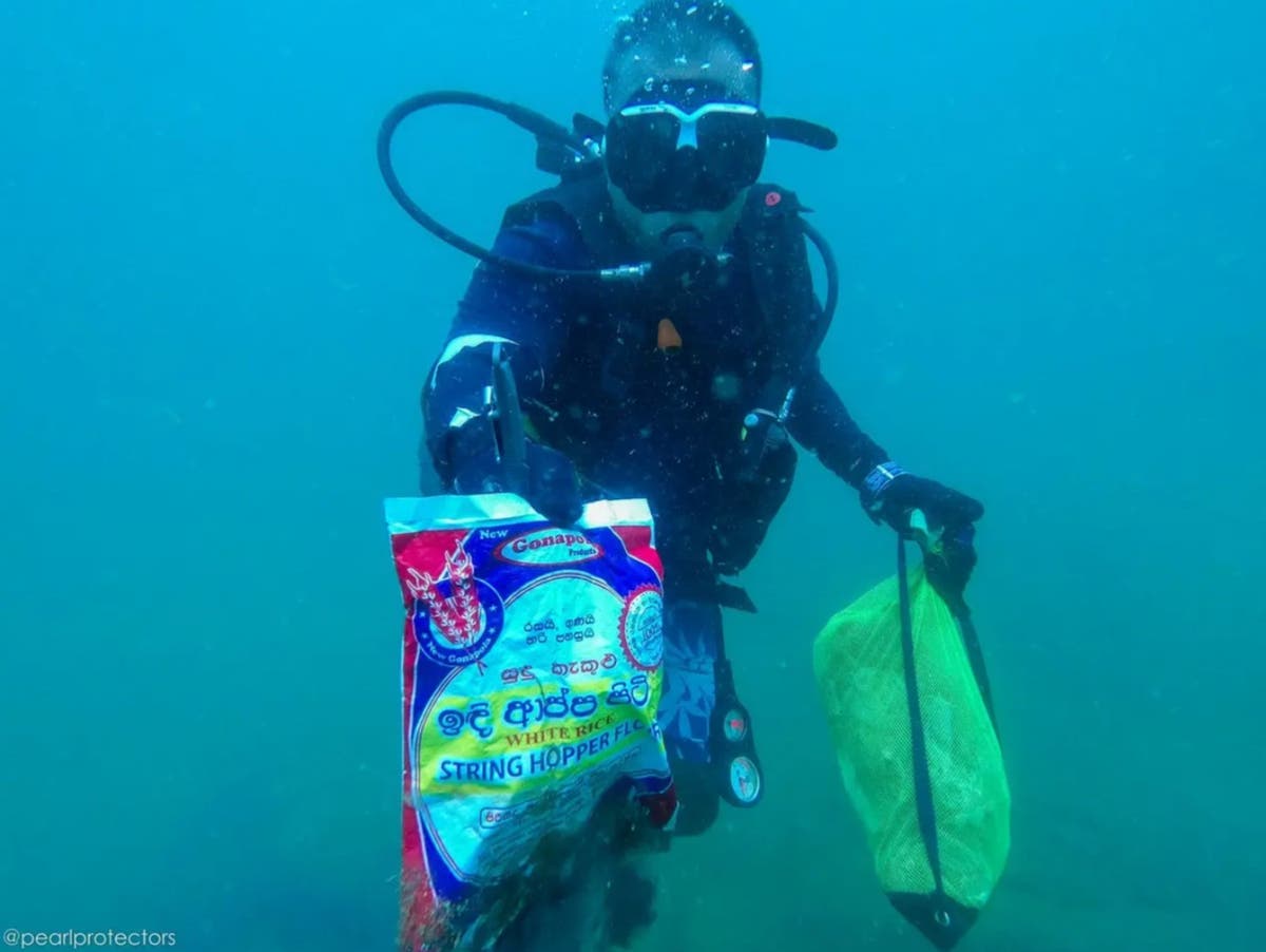 Diver rescues fish ensnared in ‘deadly’ underwater plastic | The ...