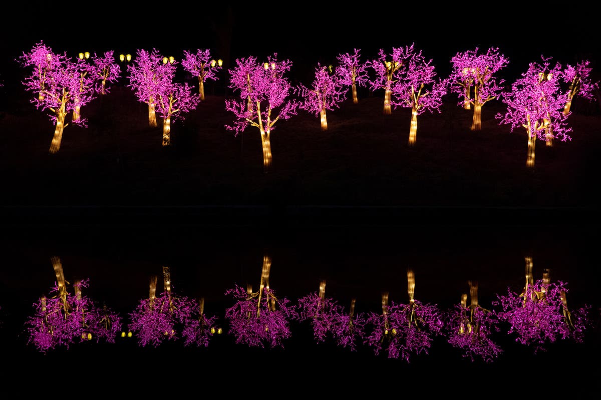 Las mejores fotos de la semana en América Latina | Independent Español