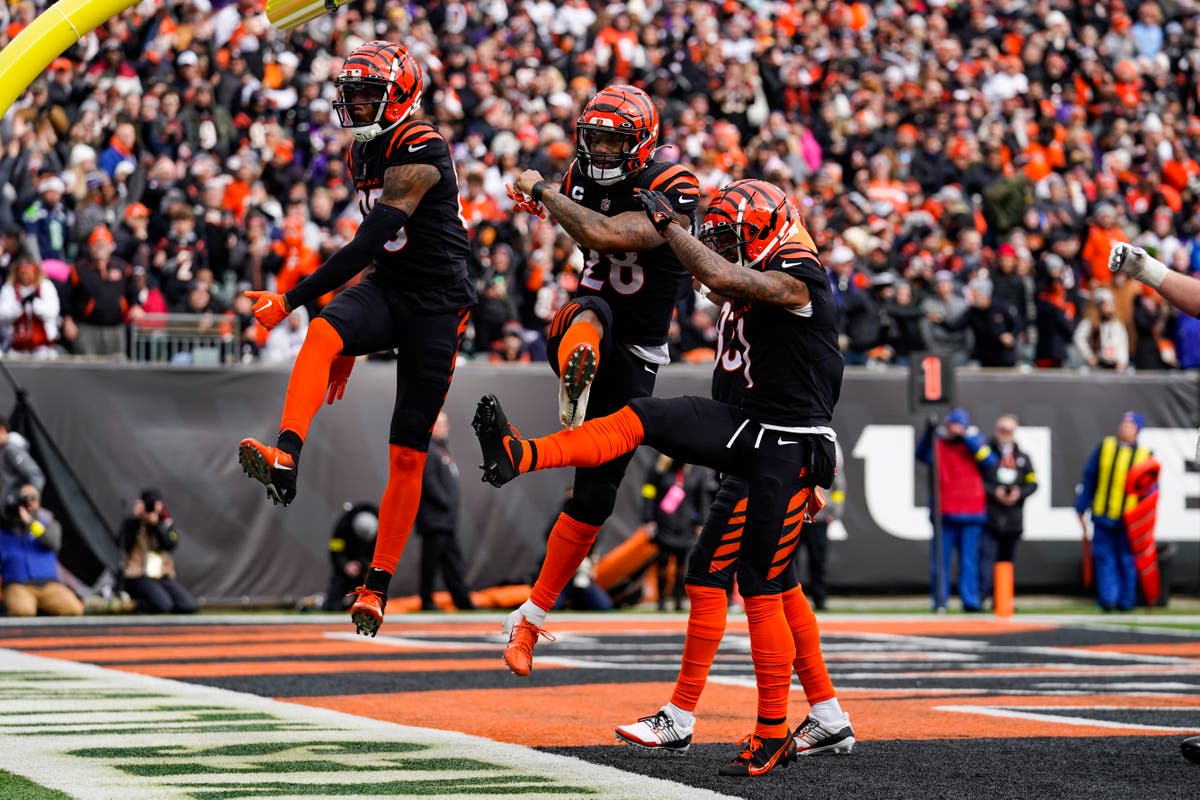 Bengals vencen a Ravens y evitan volado; se medirán de nuevo ...