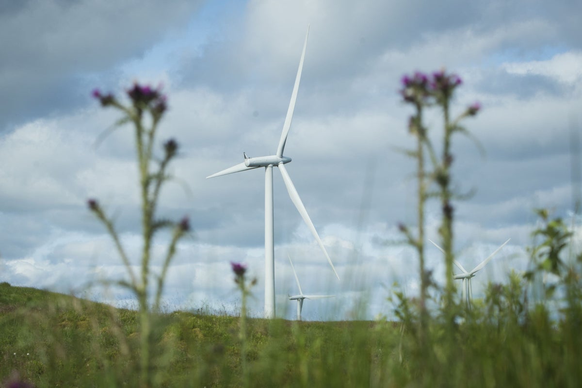 Turbines set new British wind power record | The Independent