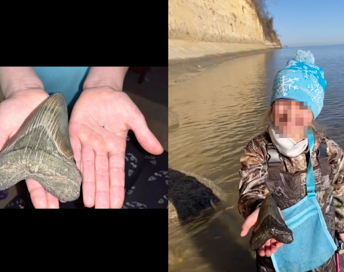 Nine-year-old girl discovers rare 15-million-year-old shark tooth at ...