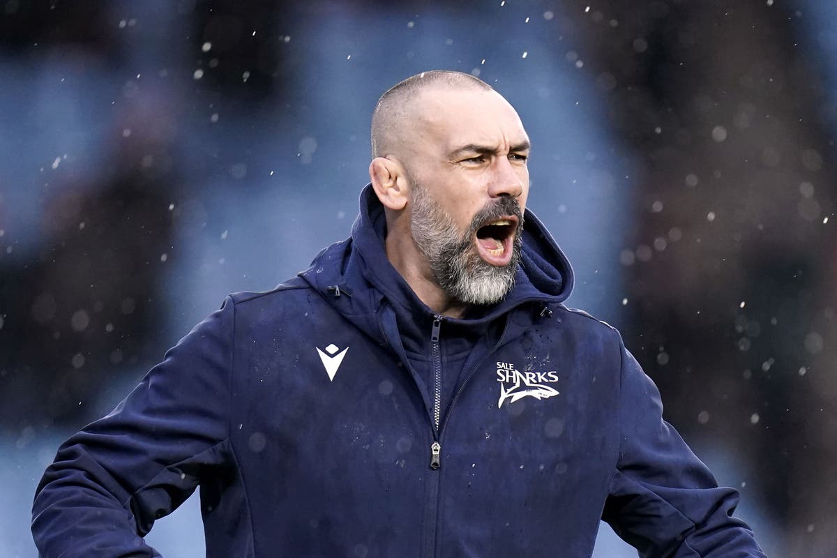 Alex Sanderson urges Sale to remain switched on against Toulouse | The ...