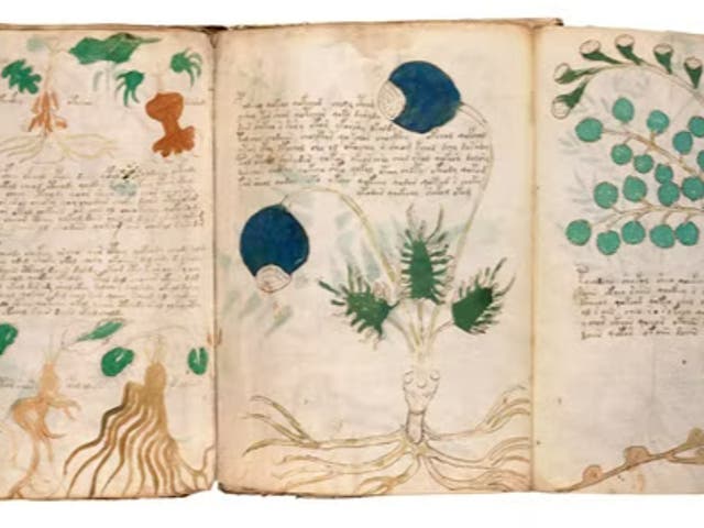 Researcher discovers unknown history behind the mysterious Voynich ...