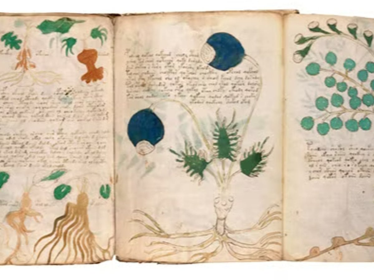 Voynich Manuscript Cover