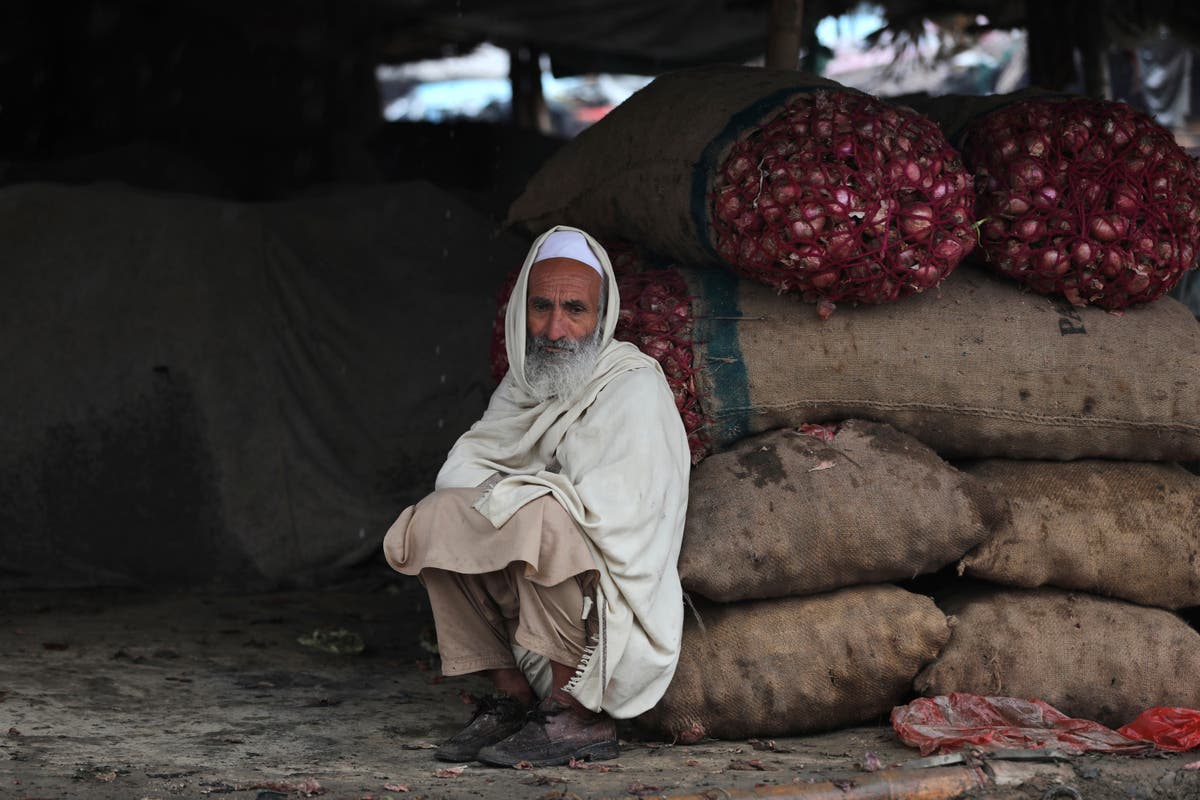 FAO: Rising prices, food insecurity add to ranks of hungry | The ...