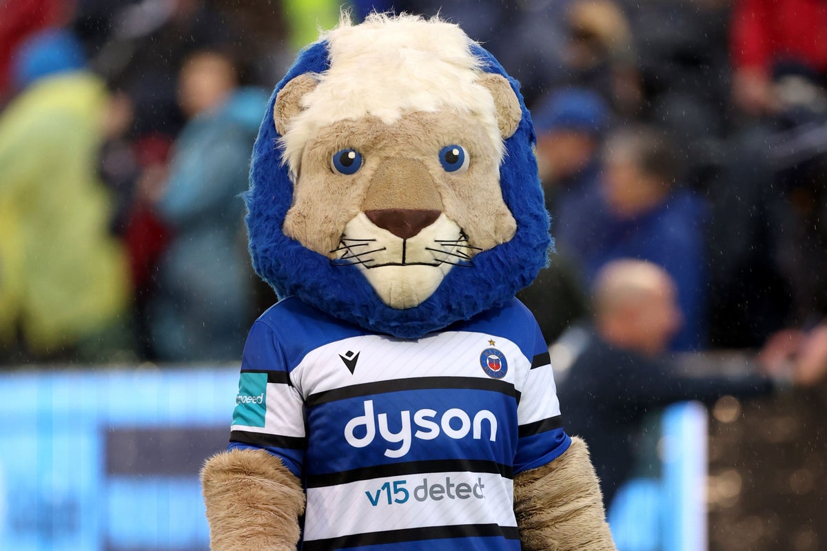 Mascots get paid more than some rugby players, claims Players ...
