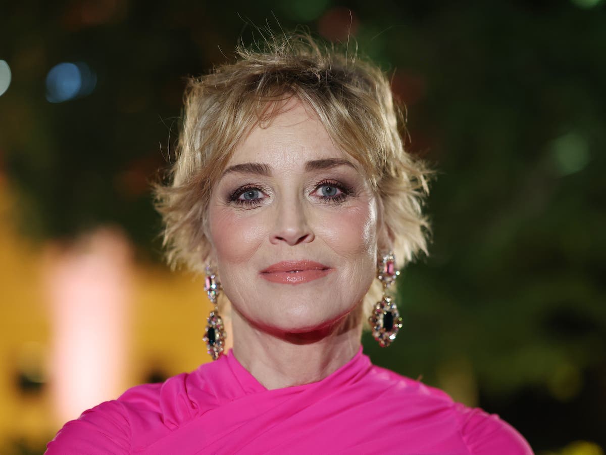 Sharon Stone says many ‘big stars’ she’s worked with were ‘misogynistic ...