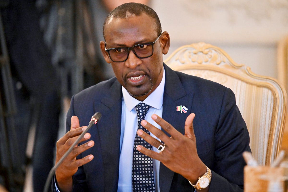 Mali defends Russian ties and opposes options for UN force | The ...