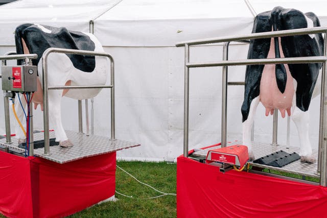 How farmers are responding to New Zealand’s world-first cow burp tax ...