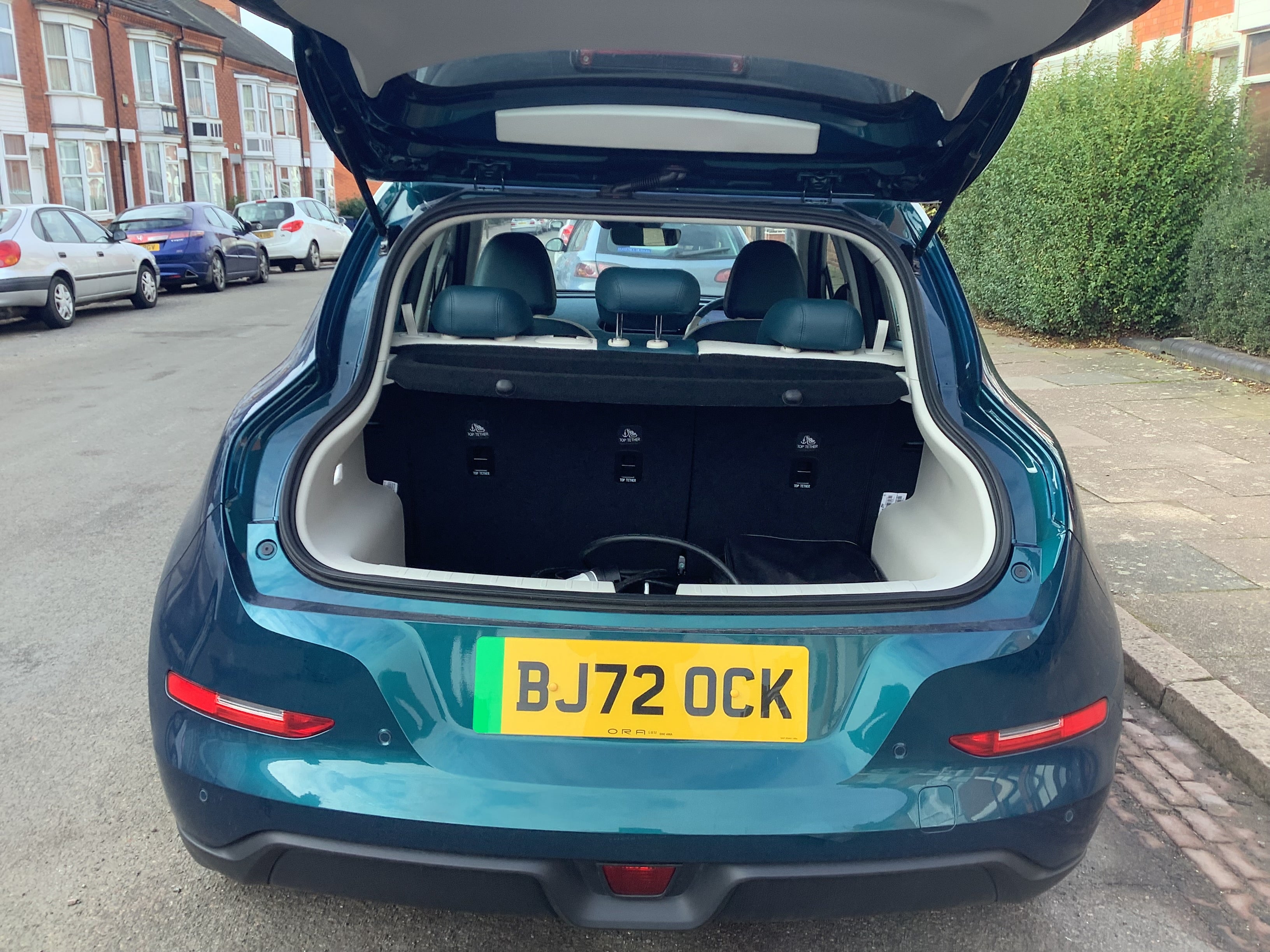 Ora Funky Cat: fun and intriguing with a stylistic mixed pedigree | The ...