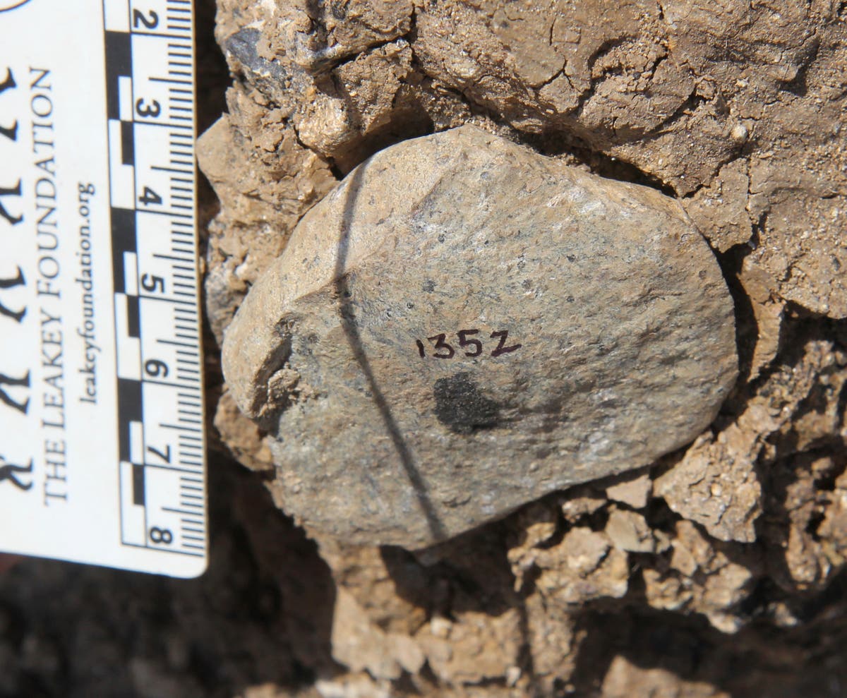 Stone Age discovery fuels mystery of who made early tools | The Independent