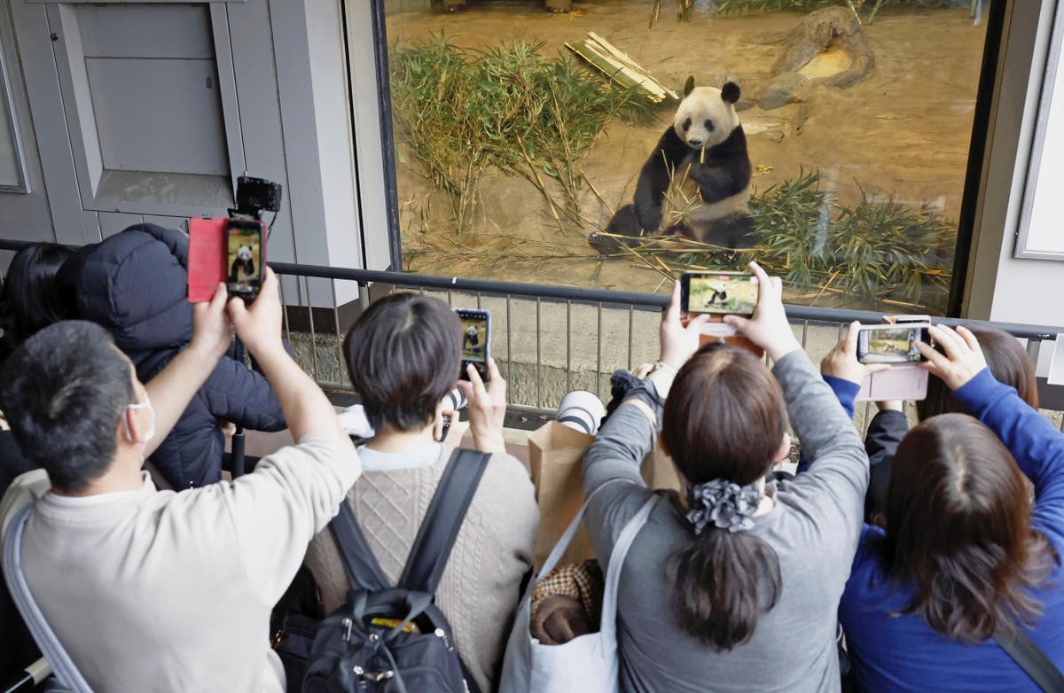 Japanese bid farewell to beloved panda returning to China | The Independent