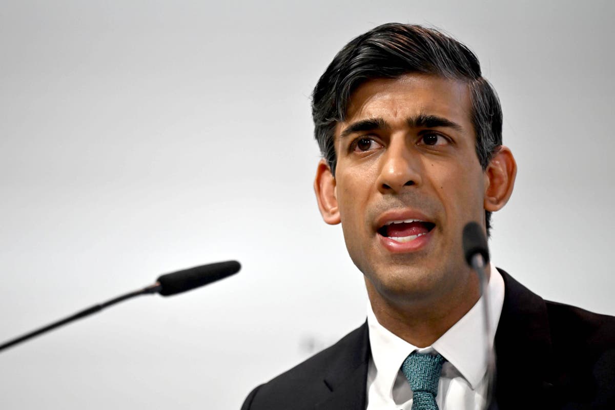 Rishi Sunak presses on with NI Protocol deal despite Tory and DUP backlash | The Independent