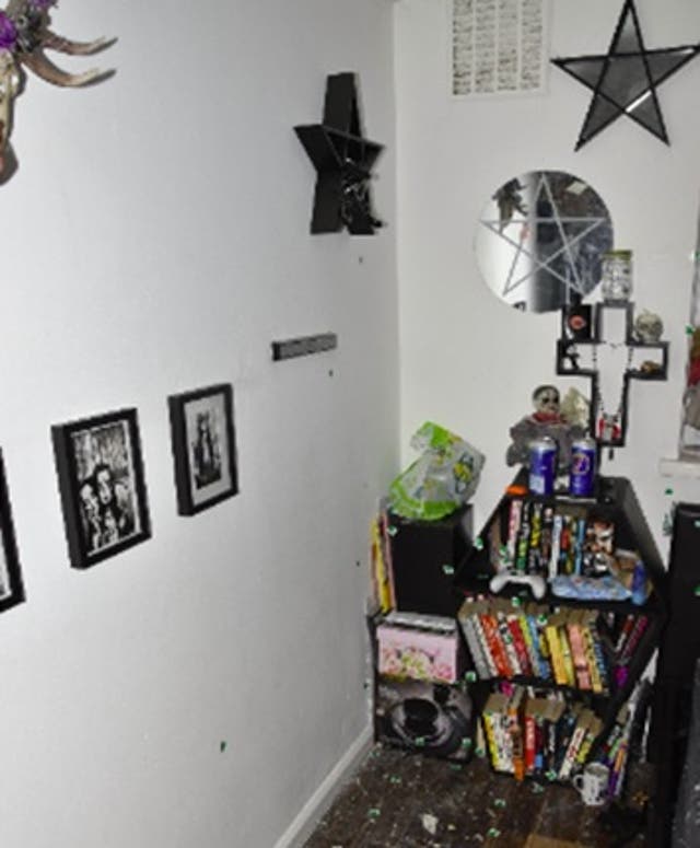 Surrounded by artwork of her favourite serial killers: Inside the home ...