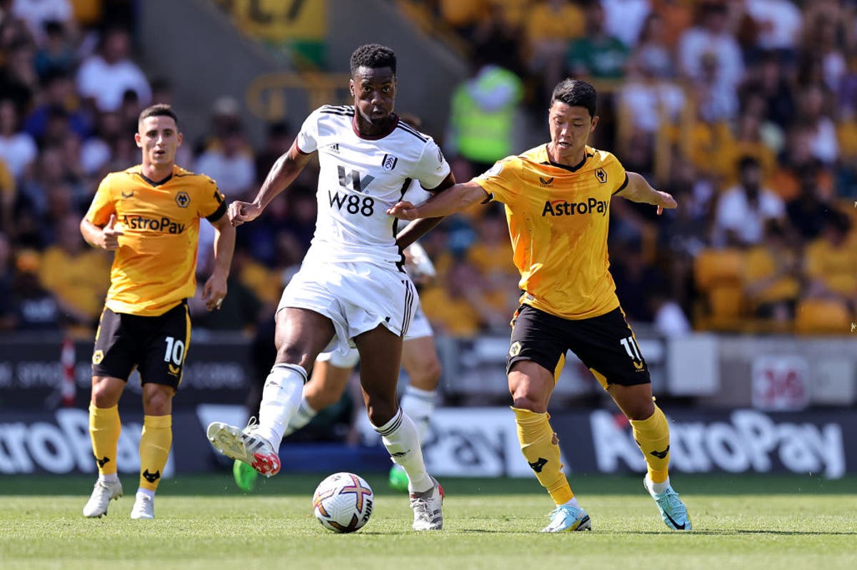 Fulham vs Wolves live stream: How to watch Premier League fixture ...