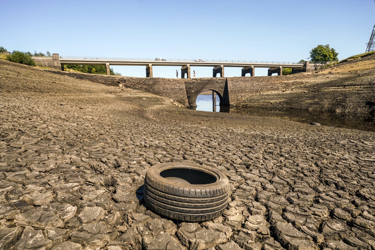 England’s driest February in 30 years, says Met Office | The Independent
