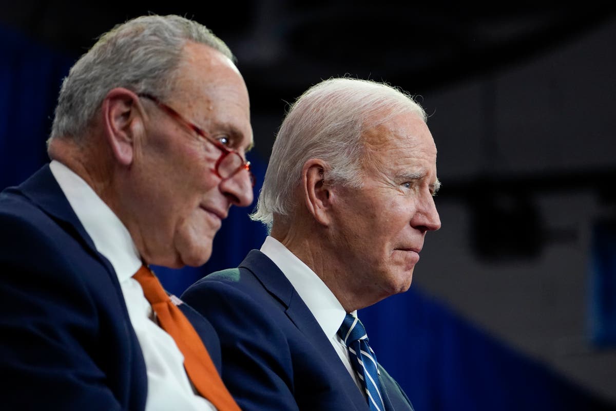 Biden faces split Congress, 1st veto as bipartisanship ebbs | The ...
