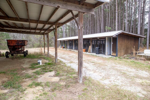 Alex Murdaugh’s lawyers ask South Carolina’s highest court to overturn ...