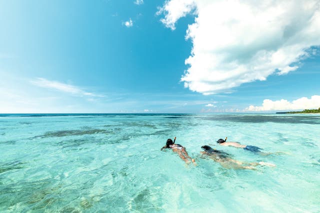 TUI holidays: The top long and short haul destination deals to book ...