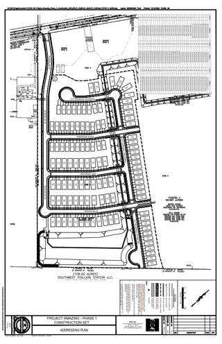 Elon Musk is building his own town in Texas. This is everything we know ...