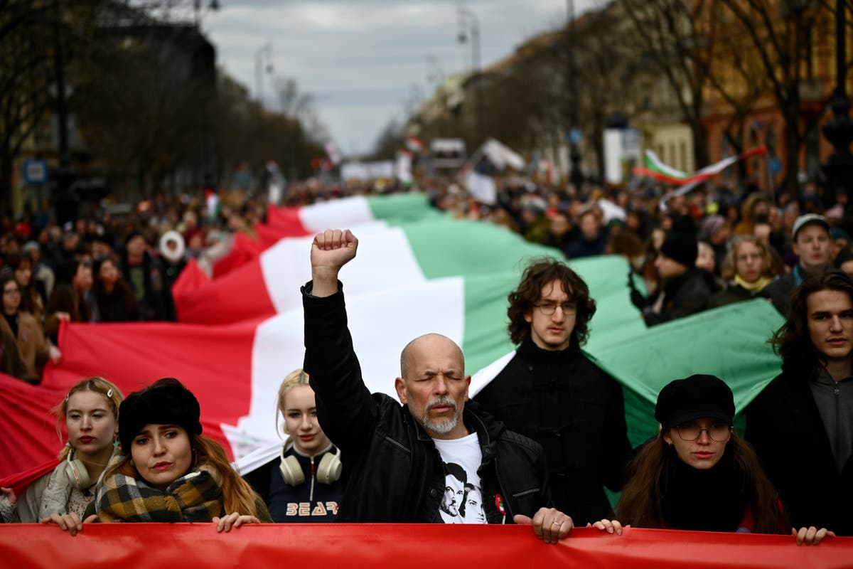 Students call for education reform in Hungary protest march | The ...